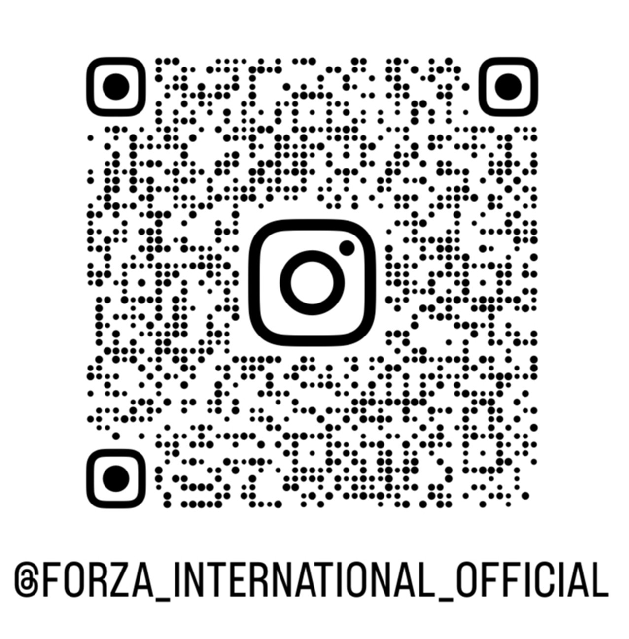 FORZA INTERNATIONAL | 津島商工会議所